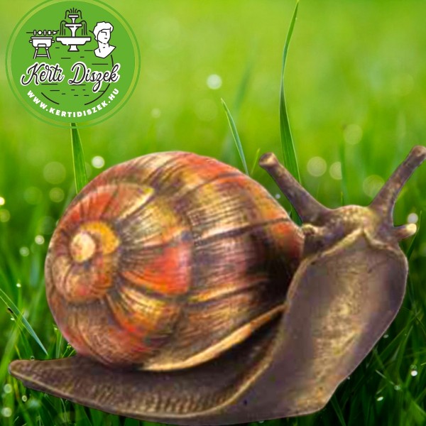 Óriás kerti csiga - Kerti-Áruda